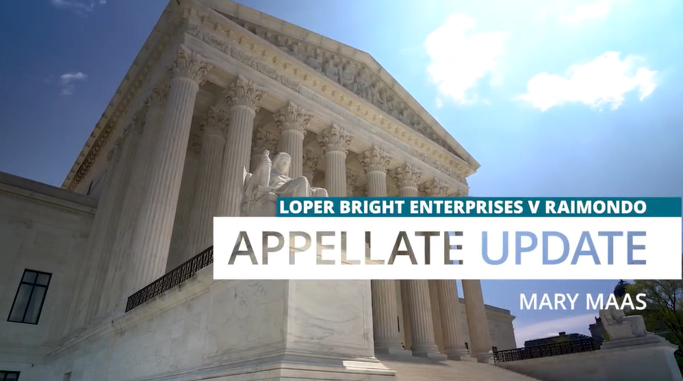 Loper Bright Enterprises v. Raimondo: Interpretation Still Up in the ...
